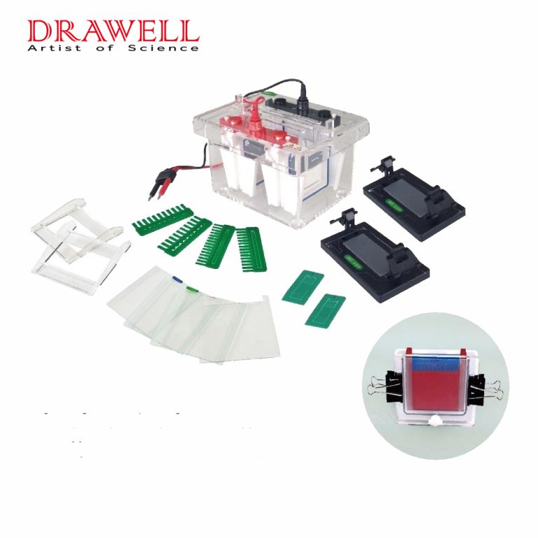 Electrophoresis Tank and Gel Imaging System Supplier - Drawell
