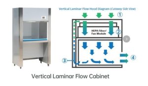 Laminar Flow Cabinets in Clinical Microbiology - Types and Functions ...