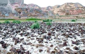 How EC Measurement in Soil Affects Crop Performance - Drawell