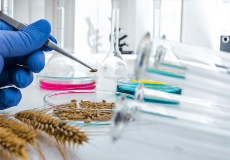 How Does NIR Spectroscopy Work For Rapid Food Quality Testing - Drawell