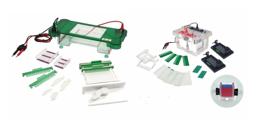 Vertical vs Horizontal Gel Electrophoresis System - Which to Choose ...